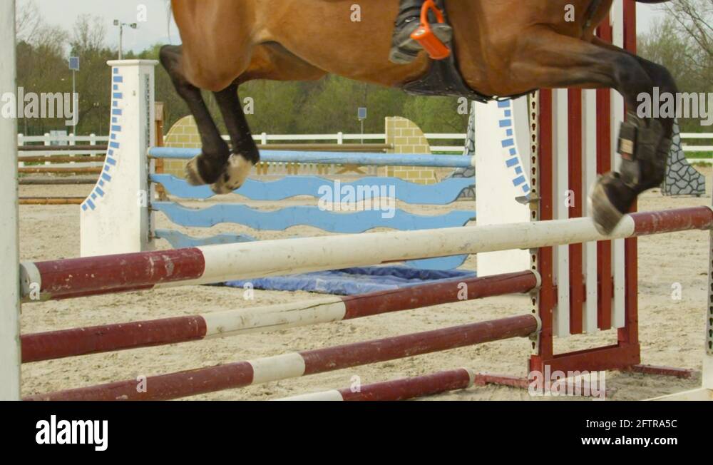 Show jumping fence Stock Videos & Footage - HD and 4K Video Clips - Alamy