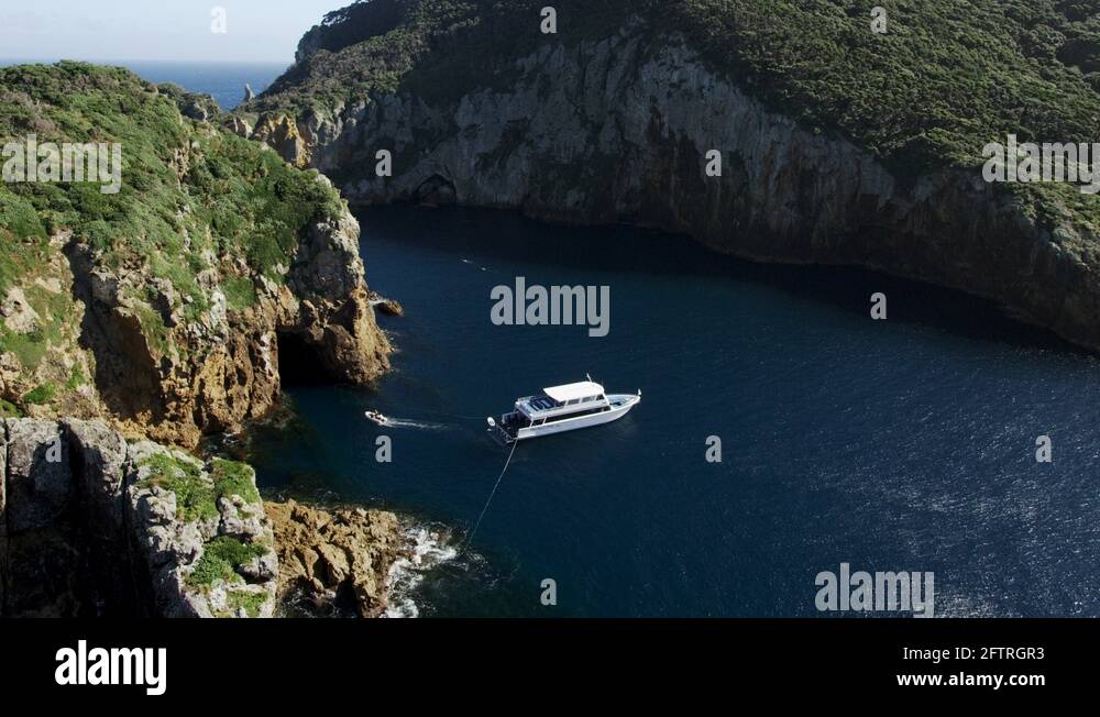 Poor knights Stock Videos & Footage - HD and 4K Video Clips - Alamy