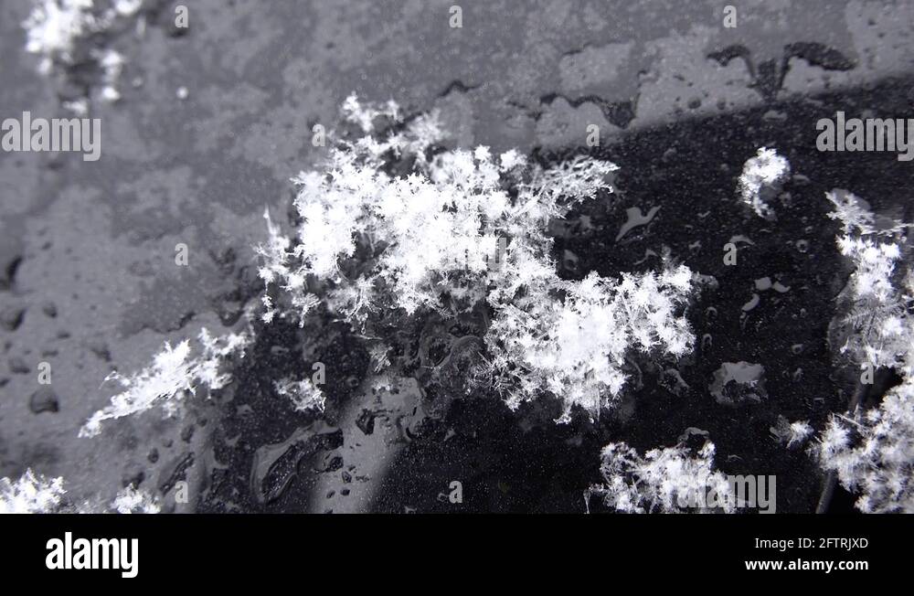 Melting ice flakes Stock Videos & Footage - HD and 4K Video Clips - Alamy