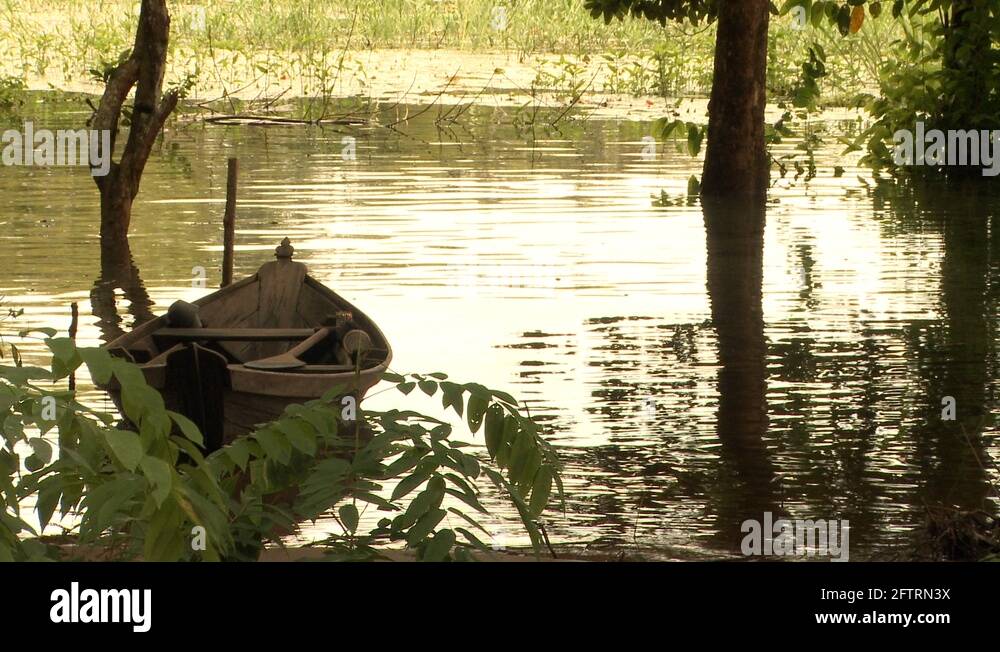 Amazon dugout canoe Stock Videos & Footage - HD and 4K Video Clips - Alamy