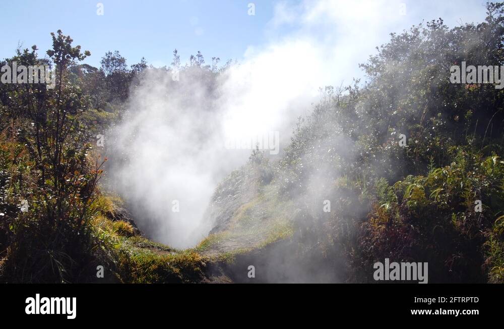 Volcanic Steam Vent in Hawaii Stock Video Footage - Alamy