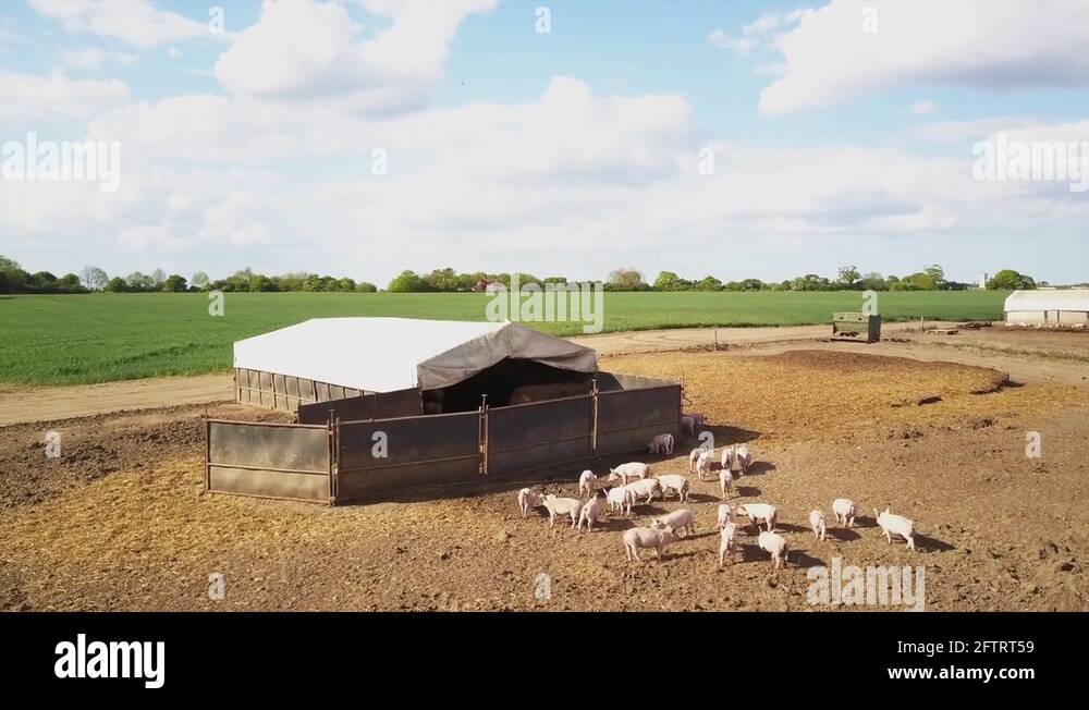 Barn rural england Stock Videos & Footage - HD and 4K Video Clips - Alamy