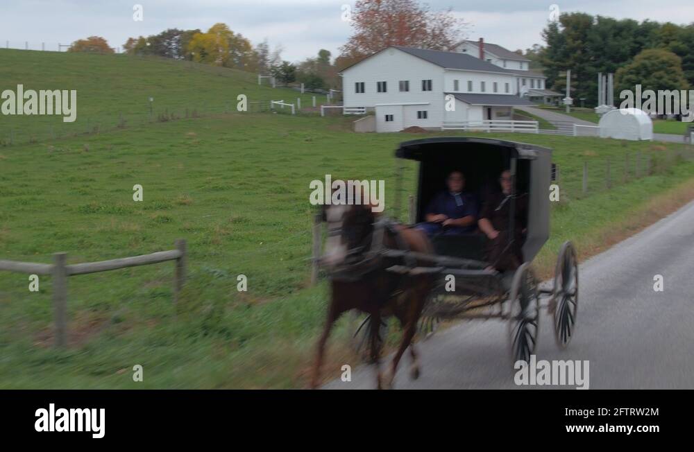 Traditional animal people farm cow Stock Videos & Footage - HD and 4K ...