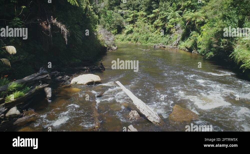 Taranaki river Stock Videos & Footage - HD and 4K Video Clips - Alamy