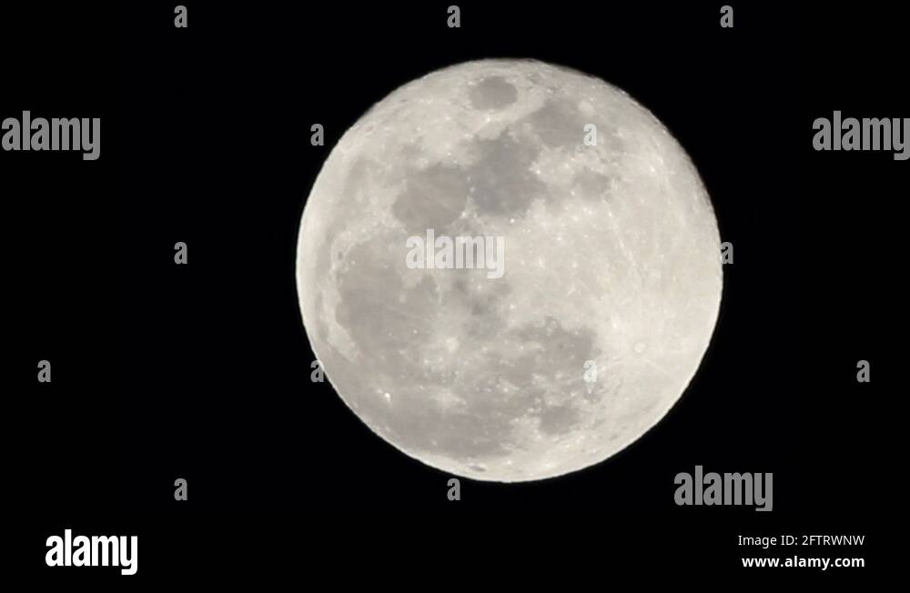 Optimum conditions Stock Videos & Footage - HD and 4K Video Clips - Alamy