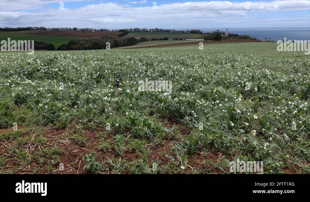 Norman farm Stock Videos & Footage - HD and 4K Video Clips - Alamy