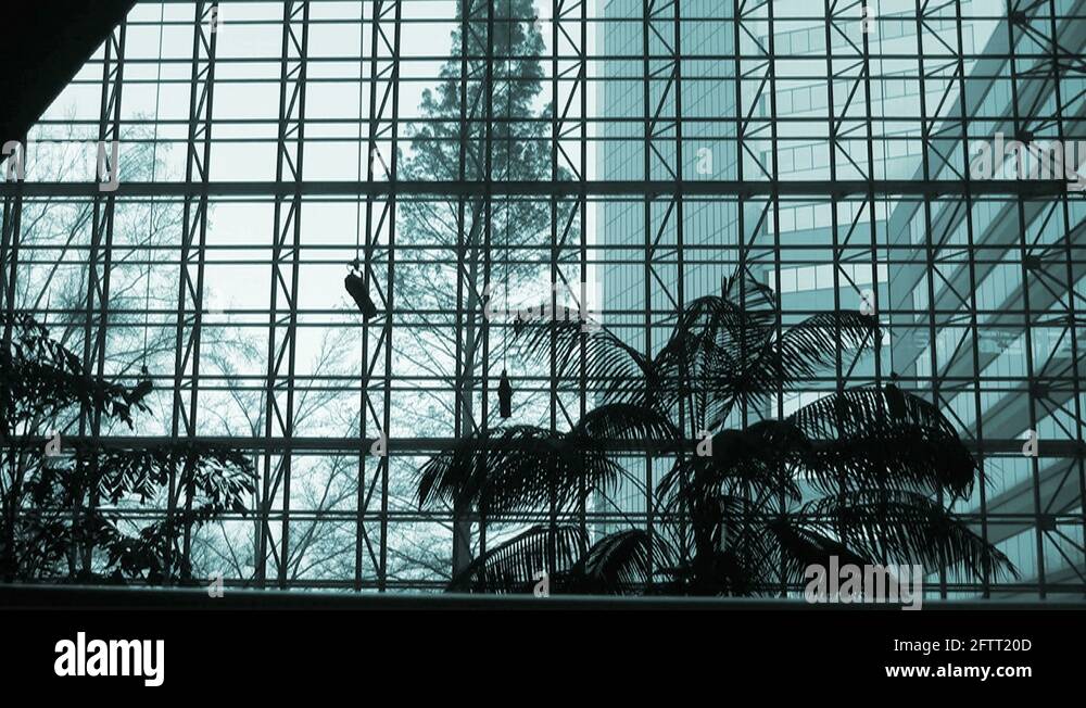 Pan in window Stock Videos & Footage - HD and 4K Video Clips - Alamy