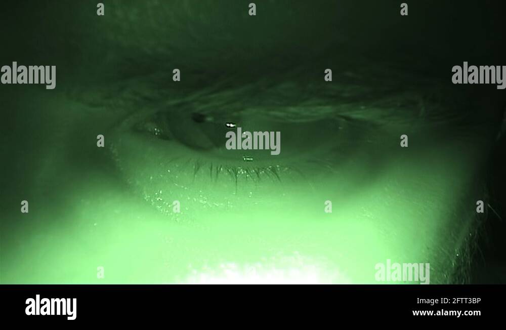 Scary eyes in the dark Stock Videos & Footage - HD and 4K Video Clips ...