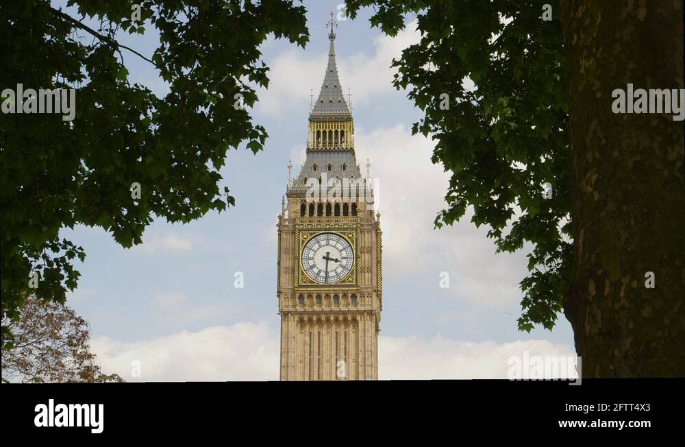 Famous trees in london Stock Videos & Footage - HD and 4K Video Clips ...