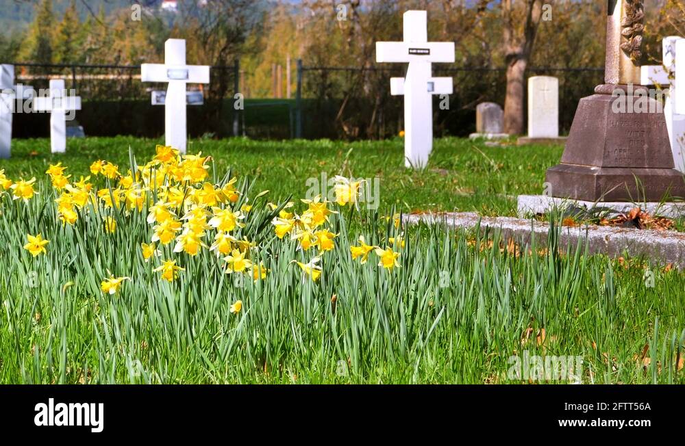 Funeral grave flowers Stock Videos & Footage - HD and 4K Video Clips ...