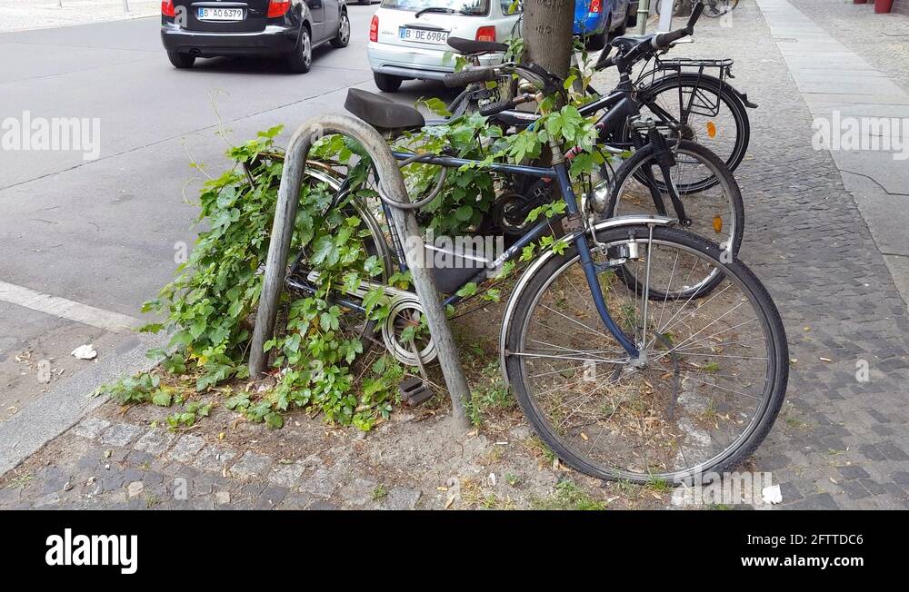 Overgrown bicycle Stock Videos & Footage - HD and 4K Video Clips - Alamy