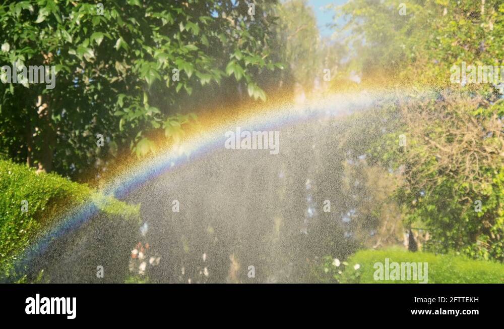 Water mist droplets Stock Videos & Footage - HD and 4K Video Clips - Alamy