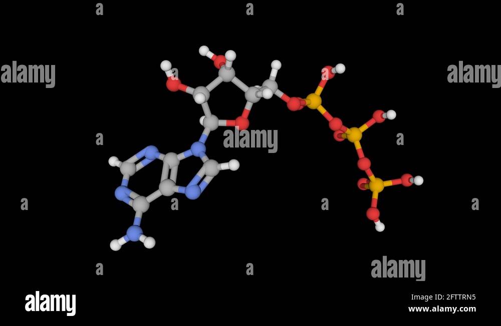 Adenosine triphosphate molecule Stock Videos & Footage - HD and 4K Video Clips - Alamy