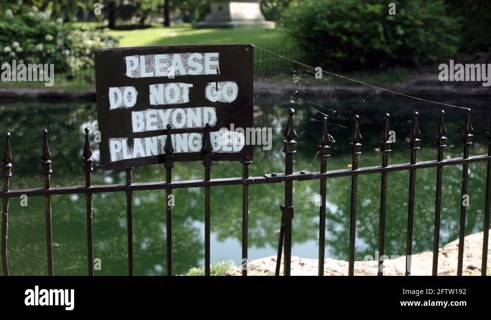 Planting bed Stock Videos & Footage - HD and 4K Video Clips - Alamy