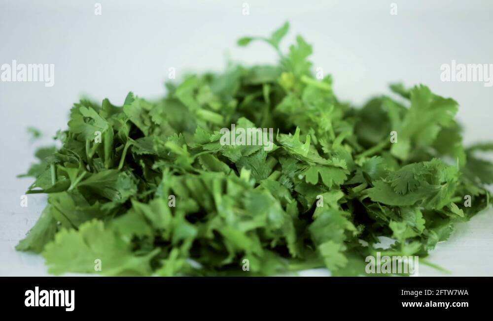 Cilantro board Stock Videos & Footage - HD and 4K Video Clips - Alamy