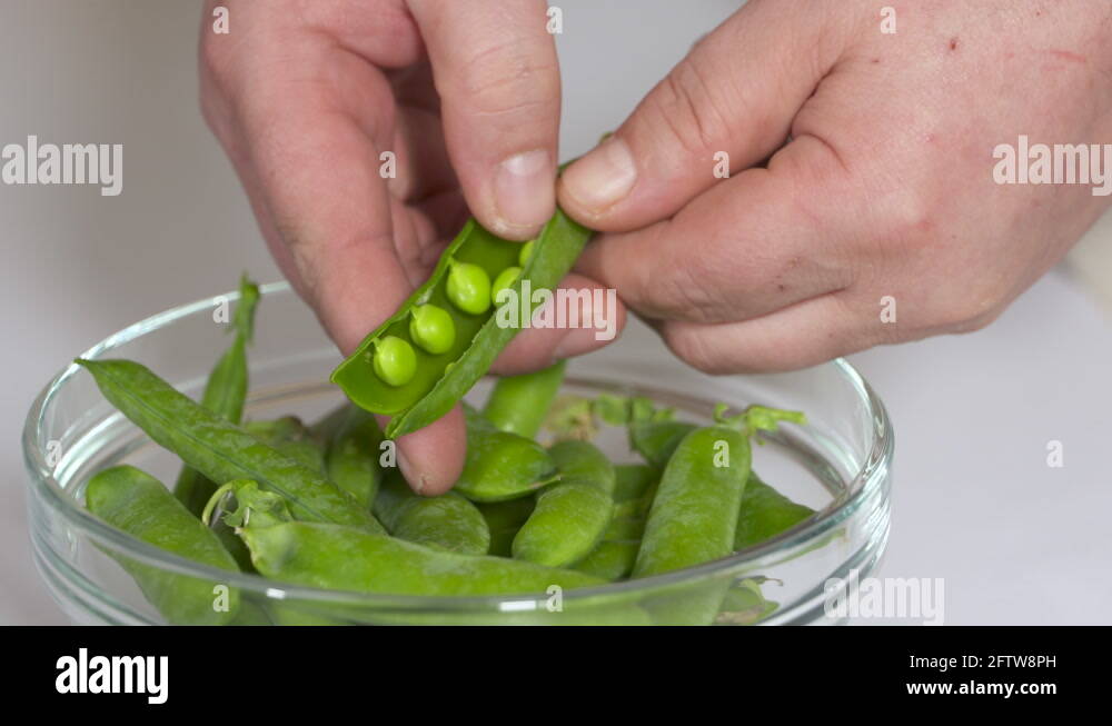 Shelling fresh peas. Man holding open pea pod in the hands Stock Video ...