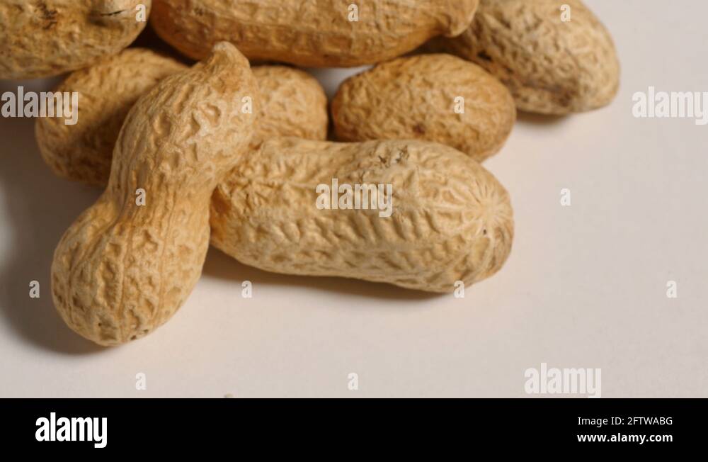 Monkey nuts peanuts Stock Videos & Footage - HD and 4K Video Clips - Alamy
