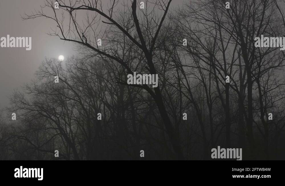 Sun outline Stock Videos & Footage - HD and 4K Video Clips - Alamy