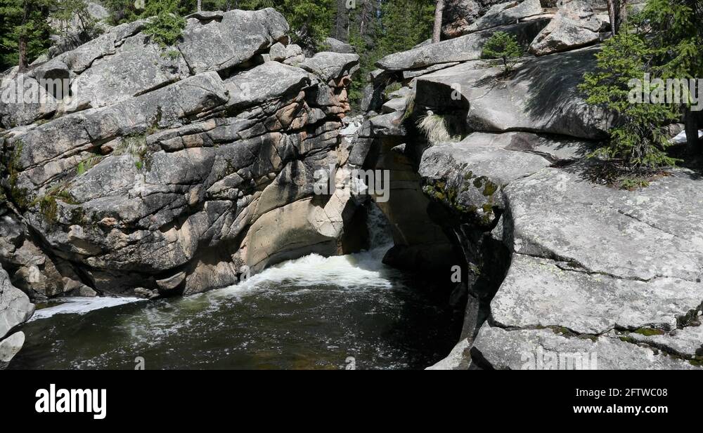 Devils fork Stock Videos & Footage - HD and 4K Video Clips - Alamy