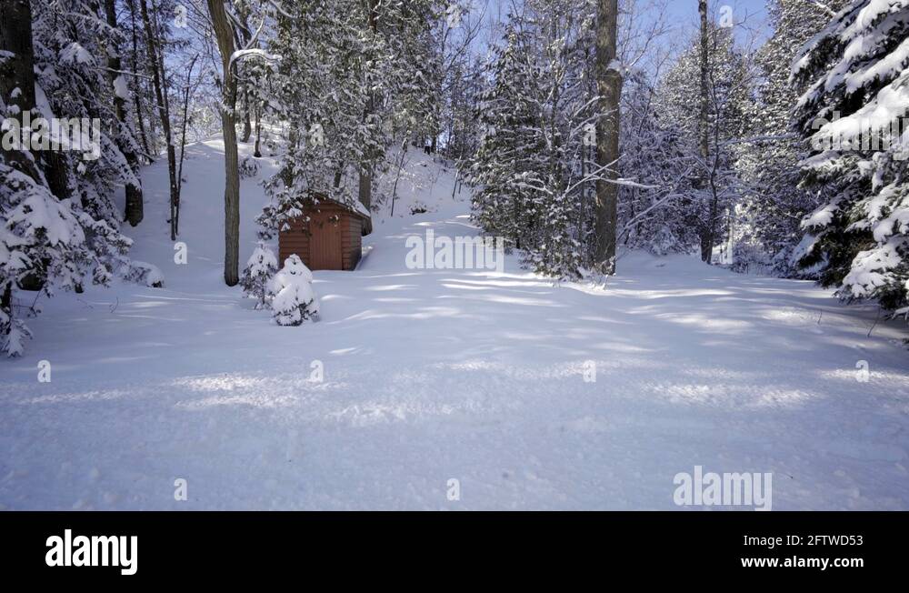 Hut with tree Stock Videos & Footage - HD and 4K Video Clips - Alamy