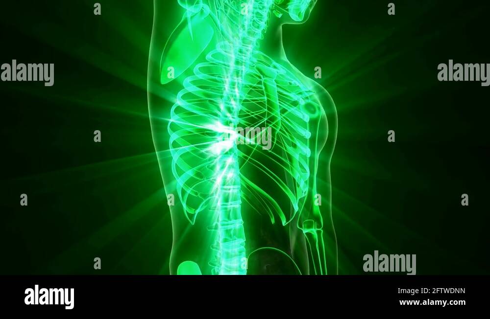 science anatomy of human body in x-ray with glow skeleton bones Stock ...