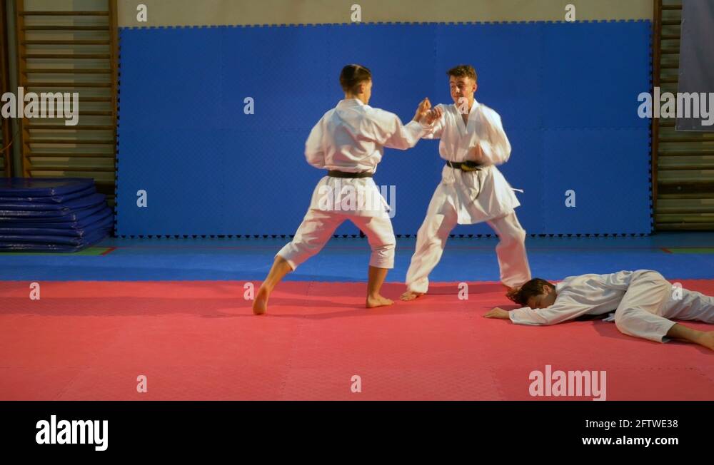 Young men performing self defense karate sequence demonstration at the ...