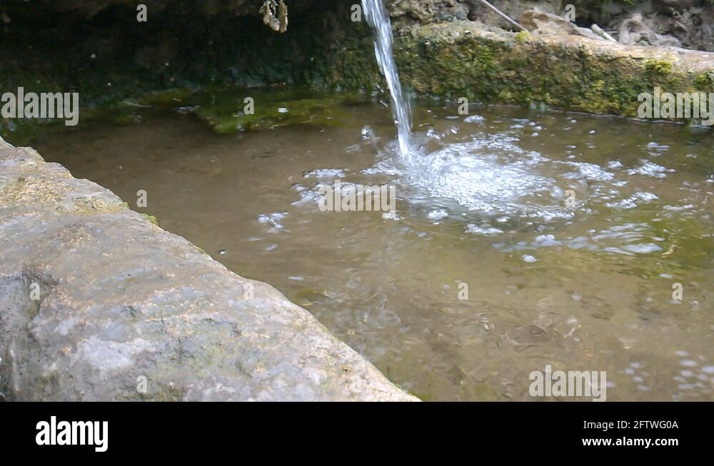 Pure and natural Stock Videos & Footage - HD and 4K Video Clips - Alamy
