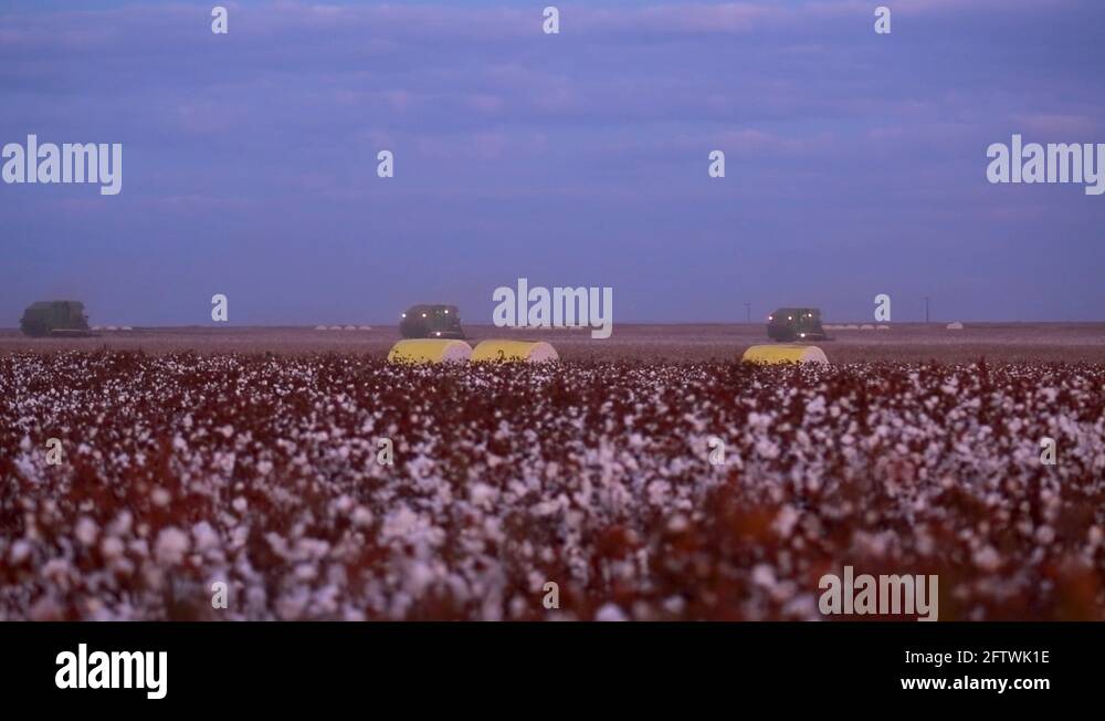 Combine tractors Stock Videos & Footage - HD and 4K Video Clips - Alamy