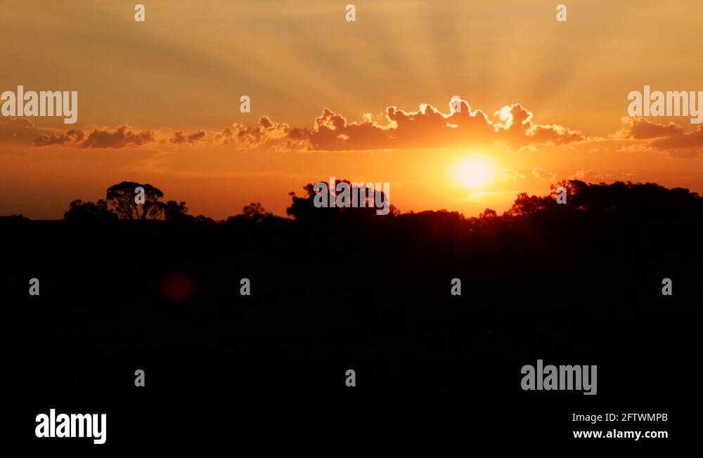 Golden lining Stock Videos & Footage - HD and 4K Video Clips - Alamy