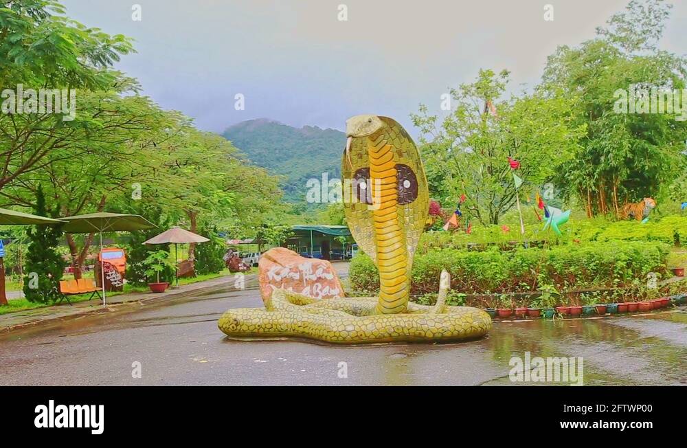 Cobra head shape Stock Videos & Footage - HD and 4K Video Clips - Alamy