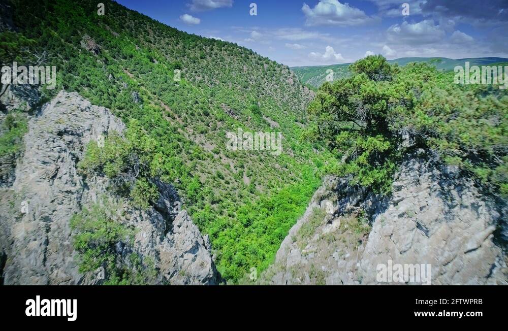 Green trees and the horizon Stock Videos & Footage - HD and 4K Video ...