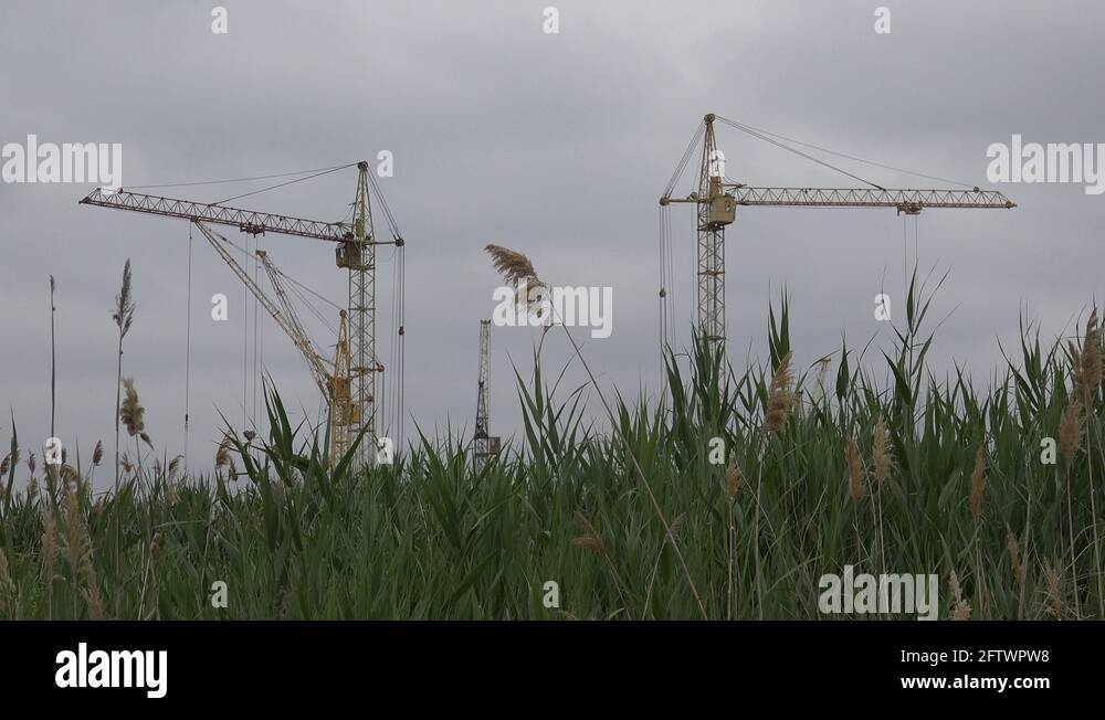 Cane construction Stock Videos & Footage - HD and 4K Video Clips - Alamy