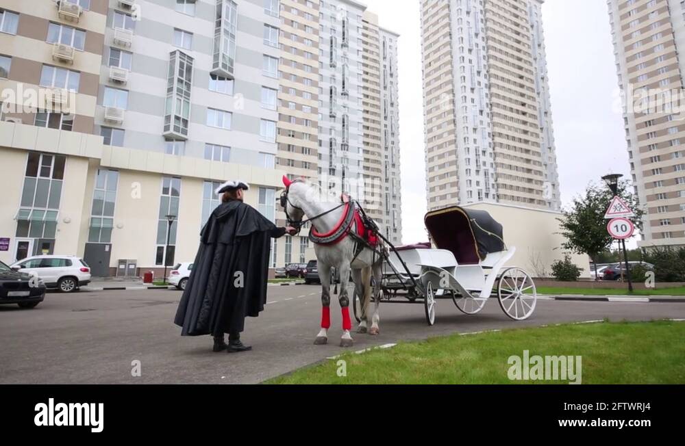 Coachman coat Stock Videos & Footage - HD and 4K Video Clips - Alamy