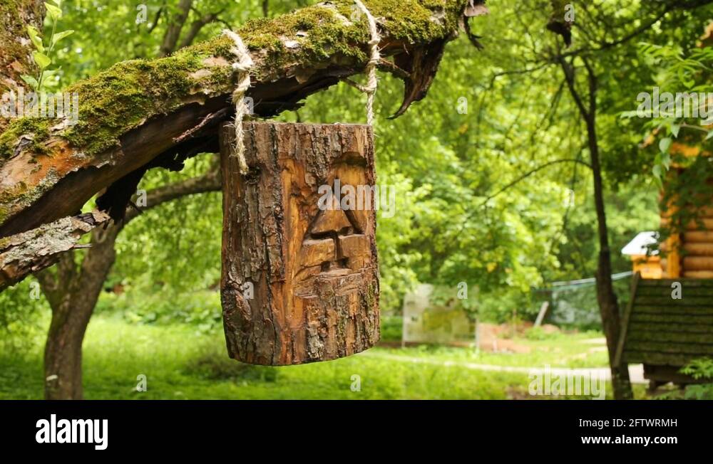 Log triangle Stock Videos & Footage - HD and 4K Video Clips - Alamy