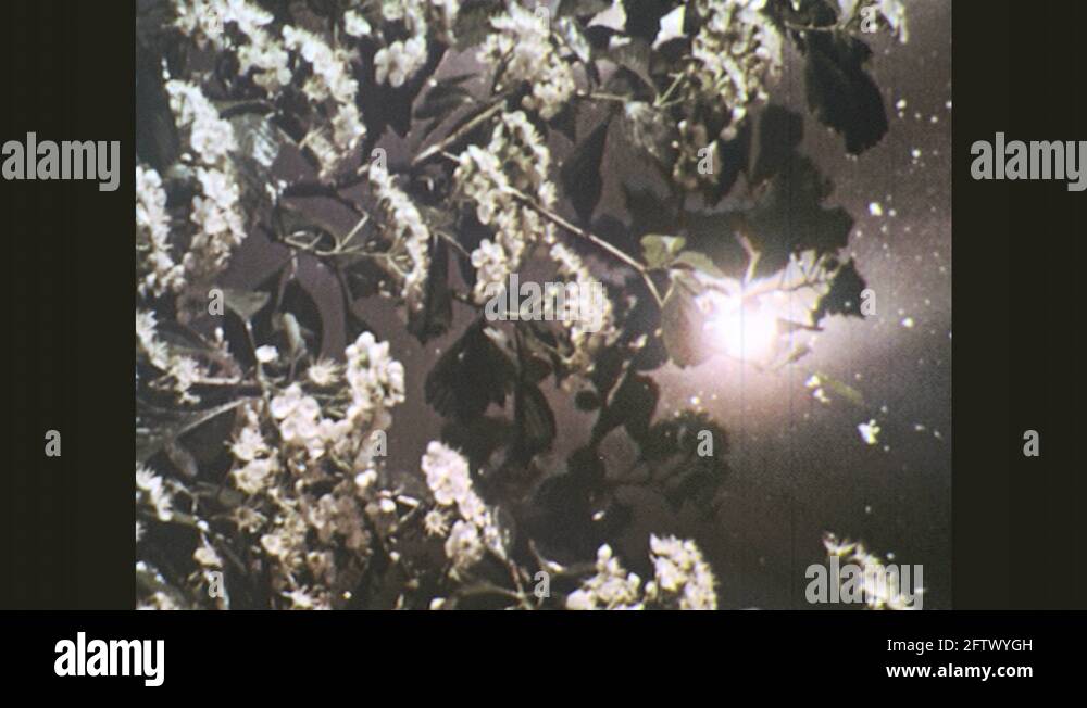 Rain 1960s Stock Videos & Footage - HD and 4K Video Clips - Alamy