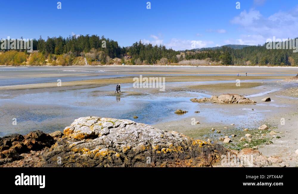 Columbia beach Stock Videos & Footage - HD and 4K Video Clips - Alamy