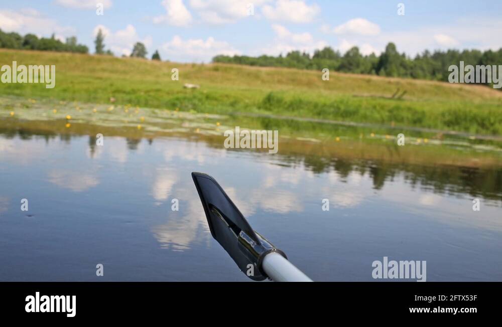 Waterlogged grass Stock Videos & Footage - HD and 4K Video Clips - Alamy