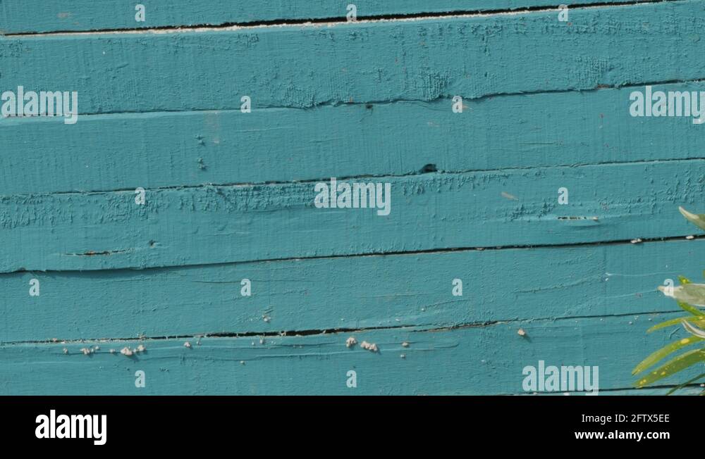 Bangkok sign Stock Videos & Footage - HD and 4K Video Clips - Alamy