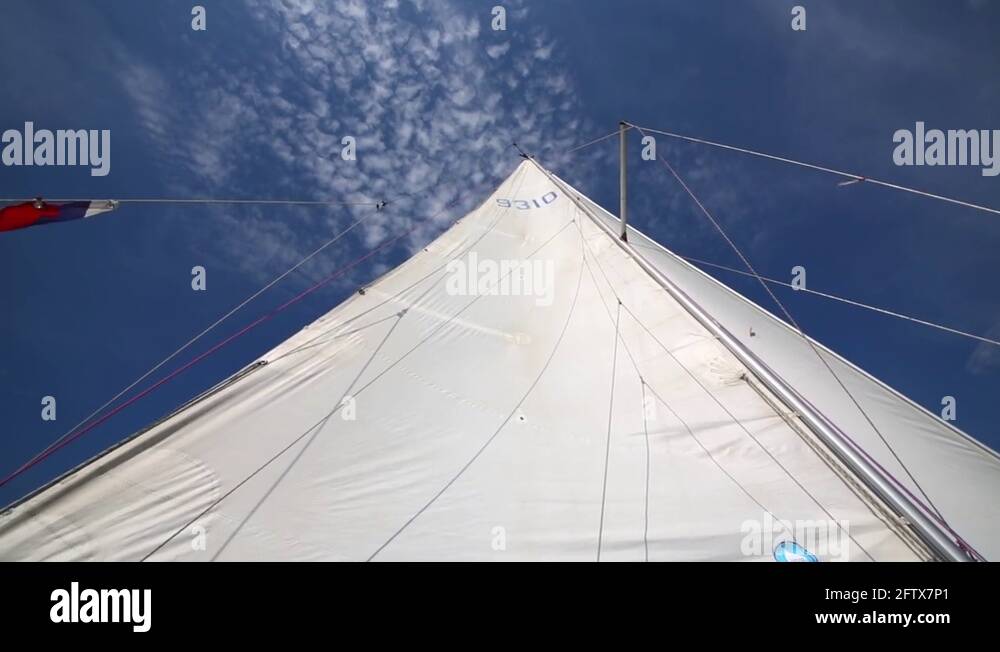 Tail sail Stock Videos & Footage - HD and 4K Video Clips - Alamy