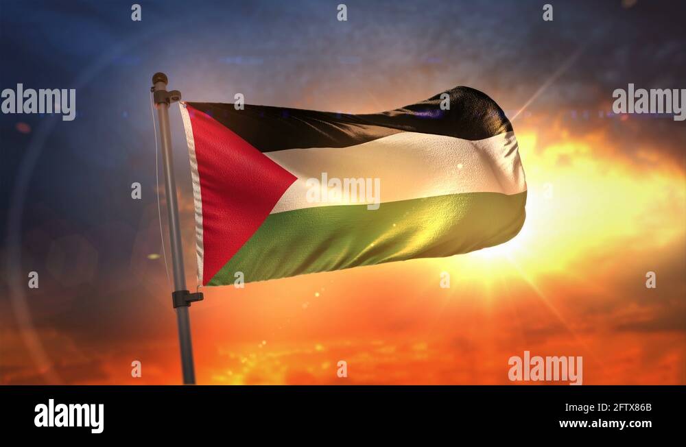 Palestine state flag colors Stock Videos & Footage - HD and 4K Video ...