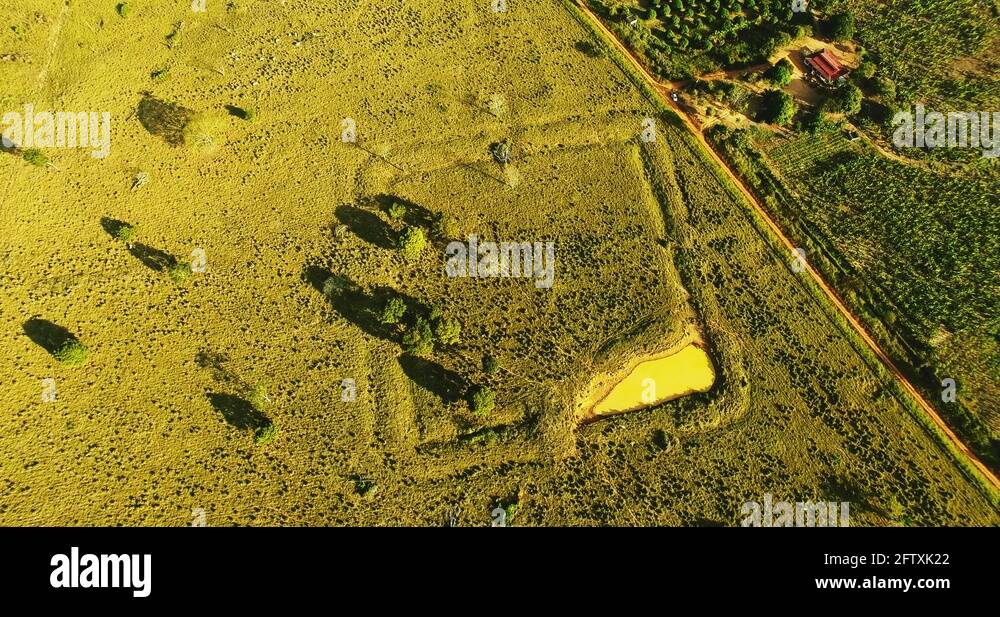 Ranch square Stock Videos & Footage - HD and 4K Video Clips - Alamy