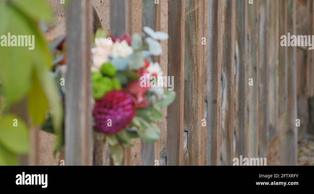 Iron flowers Stock Videos & Footage - HD and 4K Video Clips - Alamy