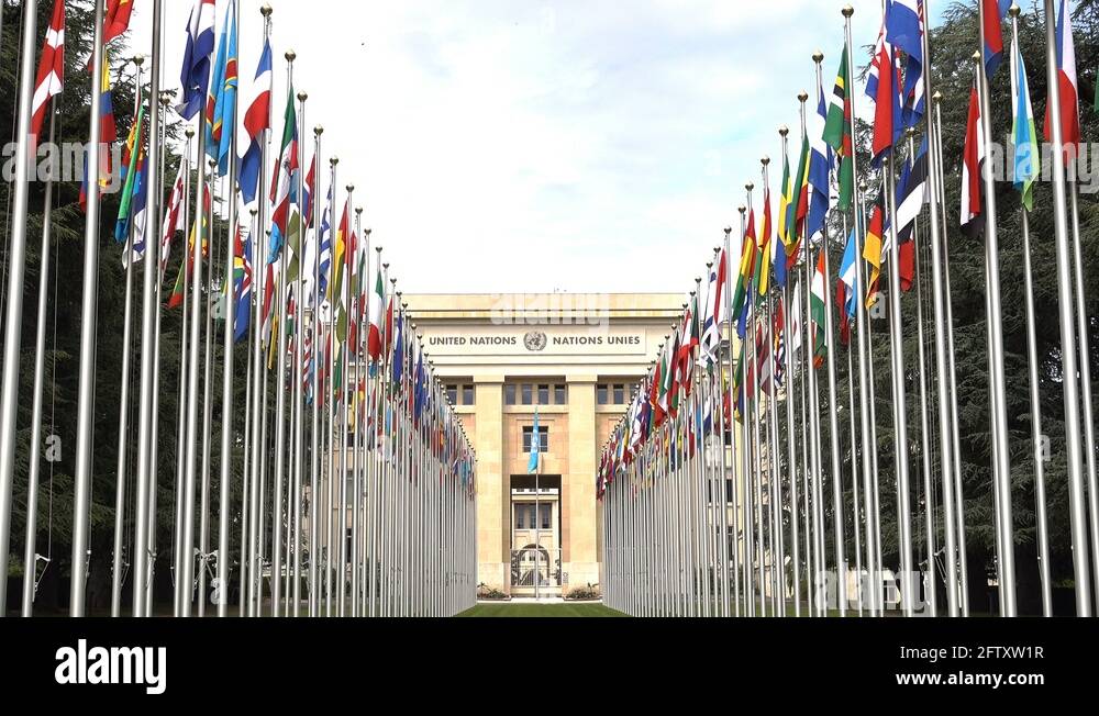 Un office geneva Stock Videos & Footage - HD and 4K Video Clips - Alamy