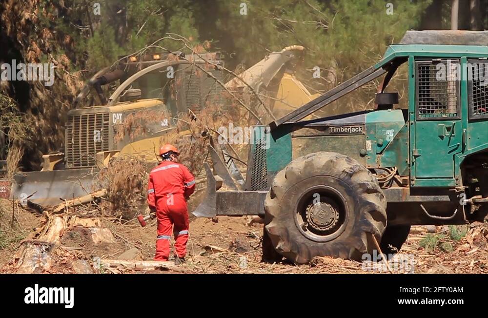 Deforesting machine Stock Video Footage - Alamy