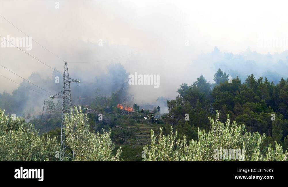 Firefighters fighting forest fire Stock Videos & Footage - HD and 4K ...