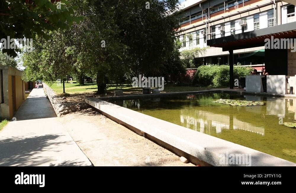 Lotus flower base Stock Videos & Footage - HD and 4K Video Clips - Alamy