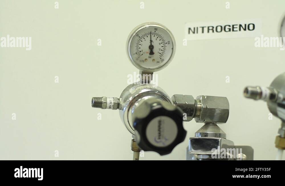 Lab technique Stock Videos & Footage - HD and 4K Video Clips - Alamy