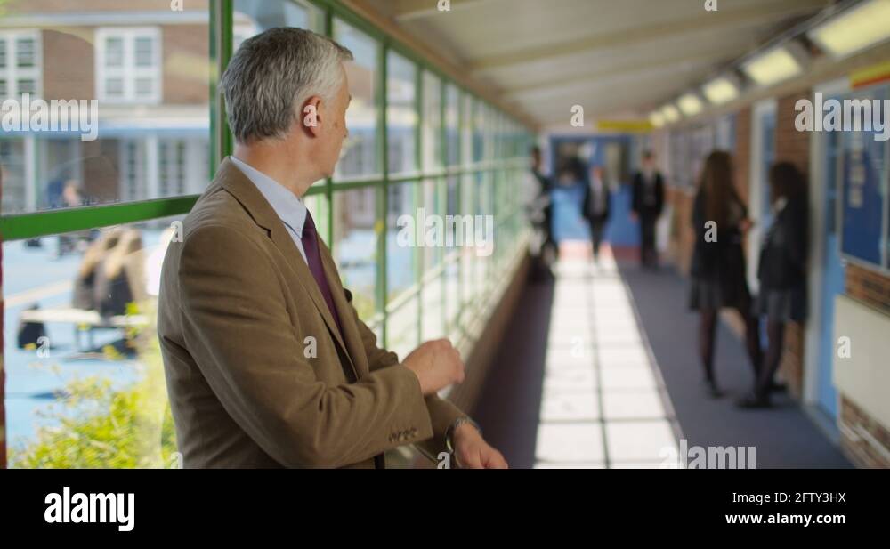 School headmaster with pupils Stock Videos & Footage - HD and 4K Video ...