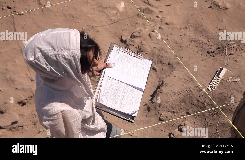 Archaeologists working at dig site Stock Videos & Footage - HD and 4K ...