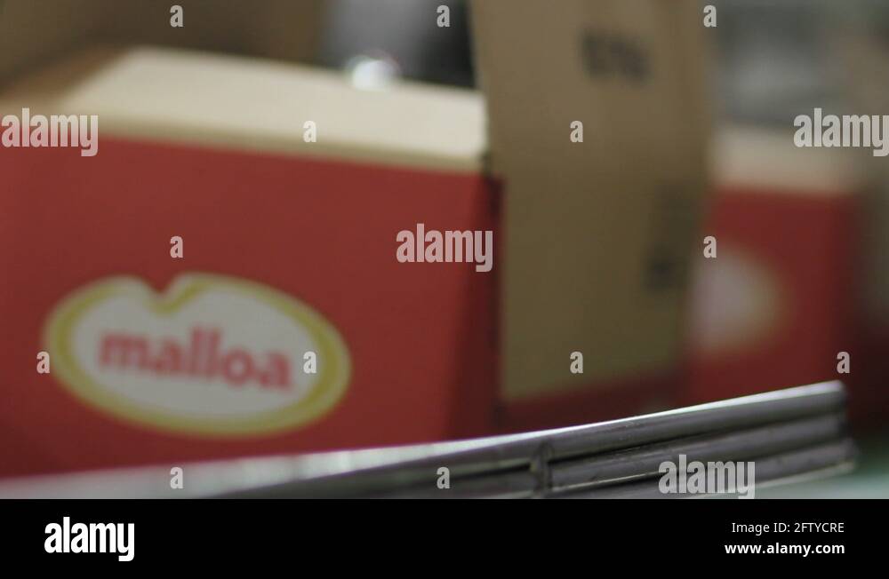 Marking boxes Stock Videos & Footage - HD and 4K Video Clips - Alamy